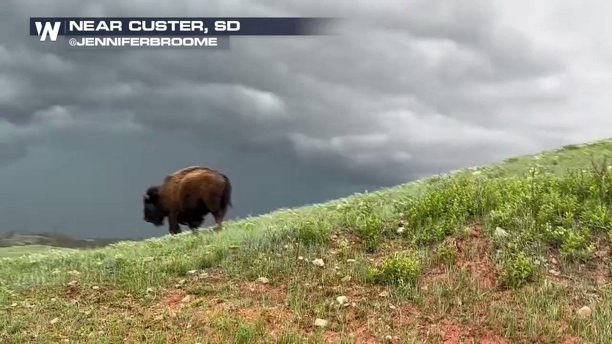 WeatherNation on Twitter: WeatherNation on Twitter: