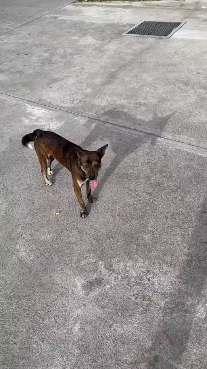 JAY-R OFFICIAL FANBASE (@THEJAYRBASE) / Twitter