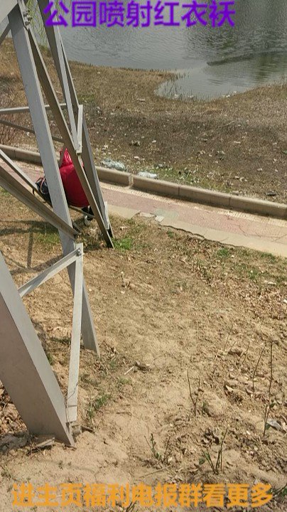 Whh8骚逼大奶女高校花街射滴蜡淫荡御姐女s母狗字母圈反差迷奸肉便器眼镜娘绿帽足控女陪丝袜哄睡顶臀 Ivan817574 Twitter