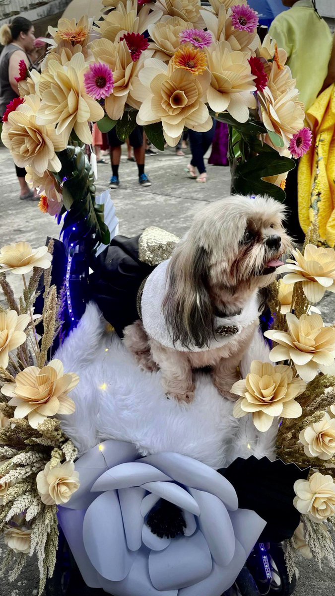 ABS-CBN News on Twitter: "RT @bayanmo: Kinagiliwan ng netizens ang cute na pagsasagala ng # ...