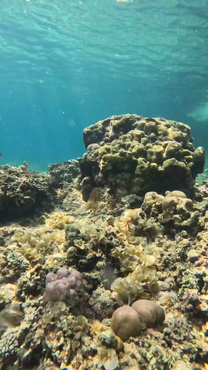 JAY-R OFFICIAL FANBASE (@THEJAYRBASE) / Twitter