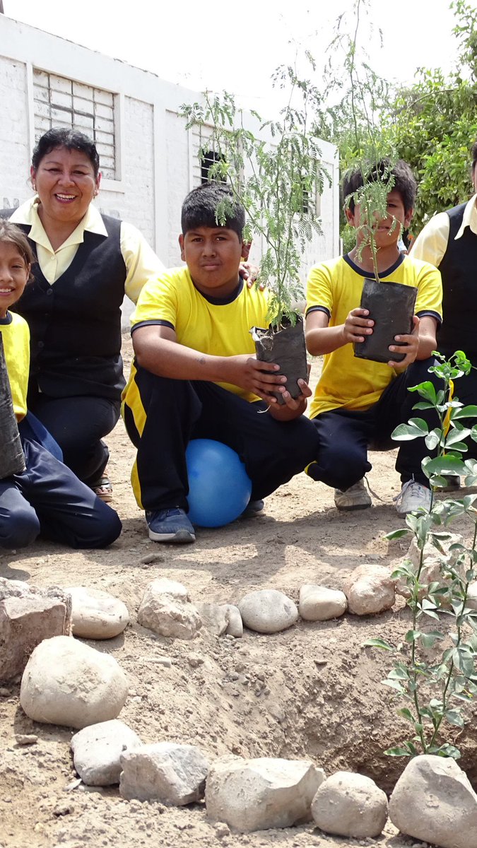 Qali Warma 馃嚨馃嚜 On Twitter Plantas Ancestrales Y 谩rboles Frutales Se