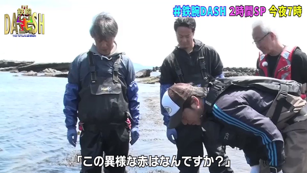 DASH海岸で専門家とアイドルがキャッキャウフフしながら貴重生物を続々発見、番組はいつもの展開に #鉄腕DASH - Togetter [トゥギャッター]