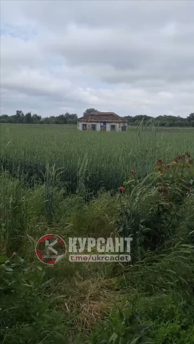 Mikołaj Mleczak 🇵🇱🇺🇦 on Twitter: Mikołaj Mleczak 🇵🇱🇺🇦 on Twitter: