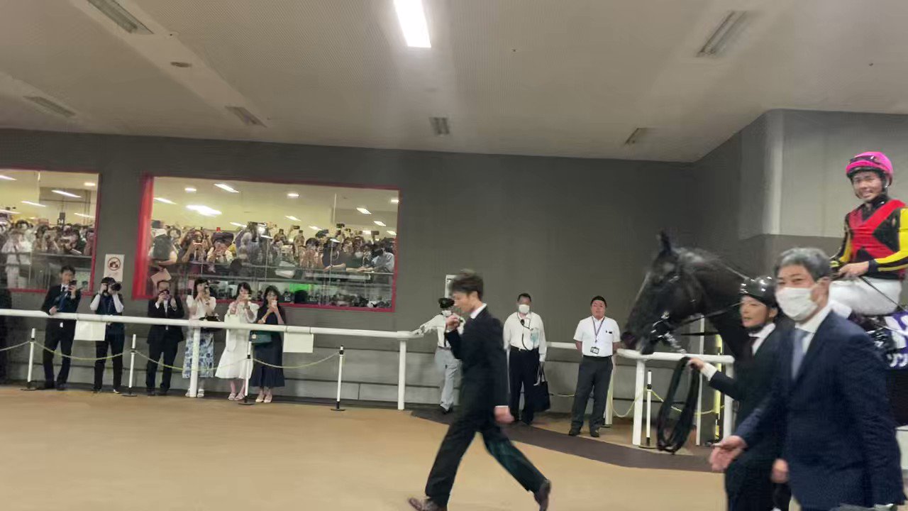 浦和競馬 On Twitter 浦和1rで行われた今年最初の2歳新馬は､断然人気のライゾマティクス（小久保智厩舎）が8馬身差の逃げ切りvを