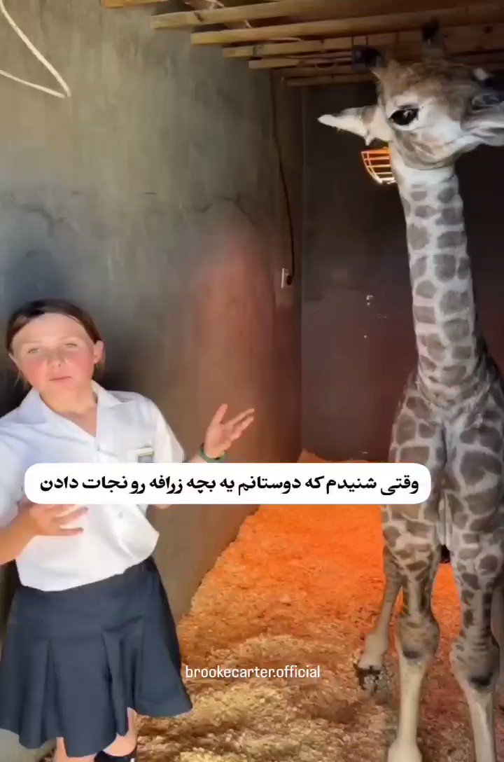 امیرآریان♕ طنزنوشت 𓃬☼ On Twitter دو شگفت انگیز کنار یکدیگر