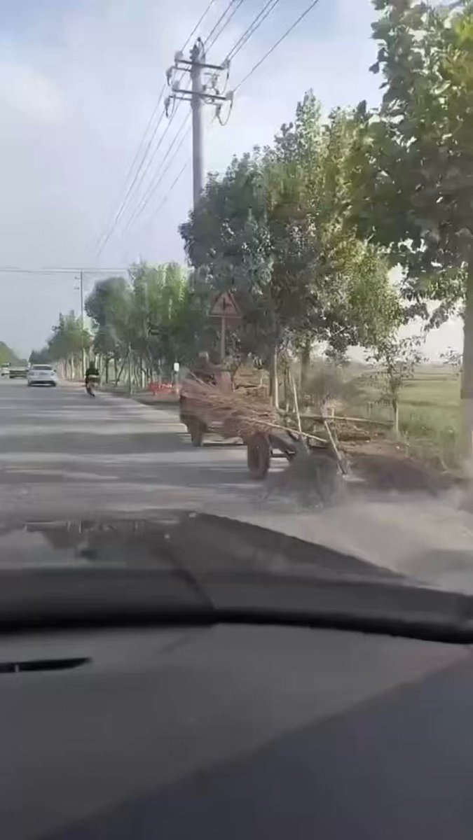 ᠭᠠᠩᠵᠣᠷᠢᠭ 🇲🇳 On Twitter Ингэж пур хийлгэснээс миний энэ дээр хамаагүй