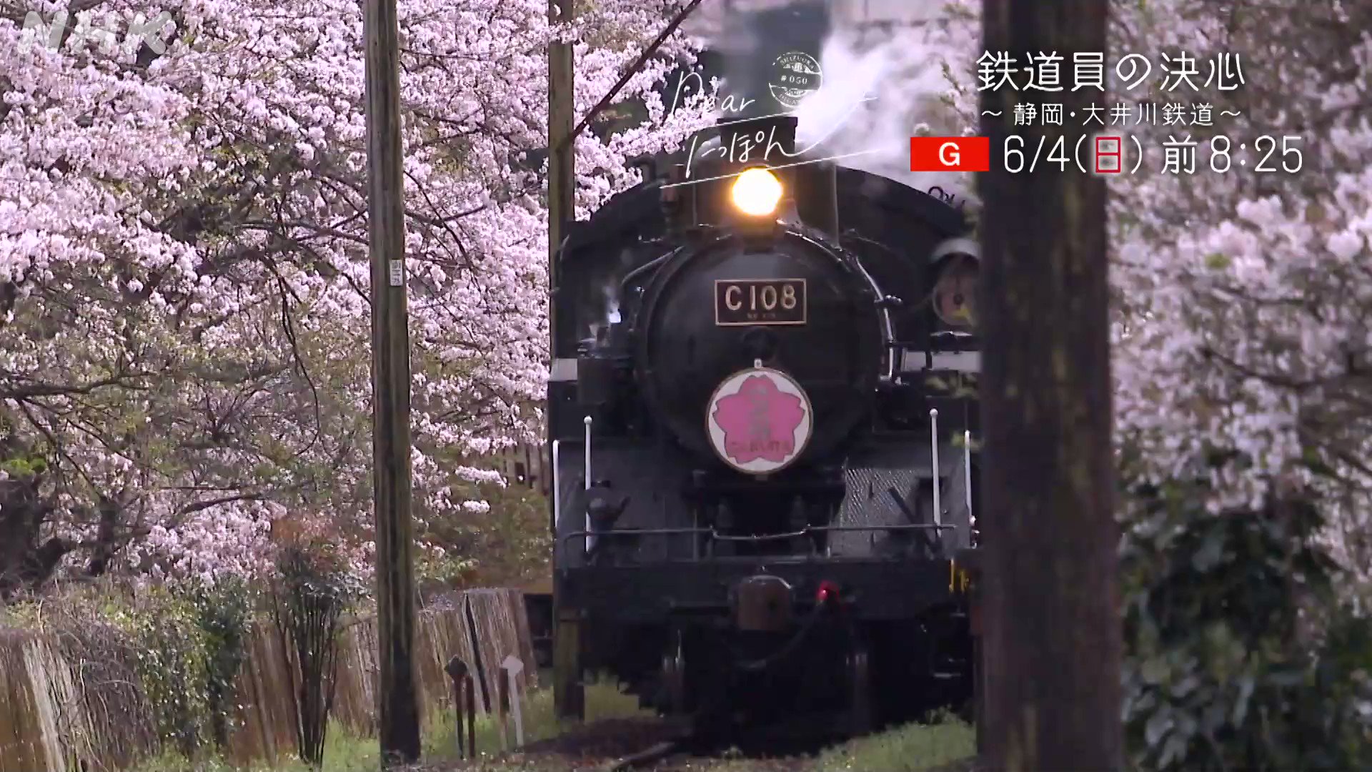 NHK静岡放送局 on Twitter: "【再放送＆配信のお知らせ】 #Dearにっぽん「#大井川鉄道」 豪雨による鉄路寸断から8か月。 いまだ全線復旧を果たせない苦境の中、 若き鉄道員たち ...