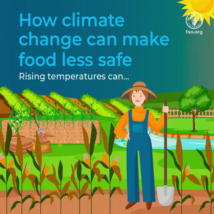 Global Goals on Twitter: "RT @UN: The climate crisis also affects food ...