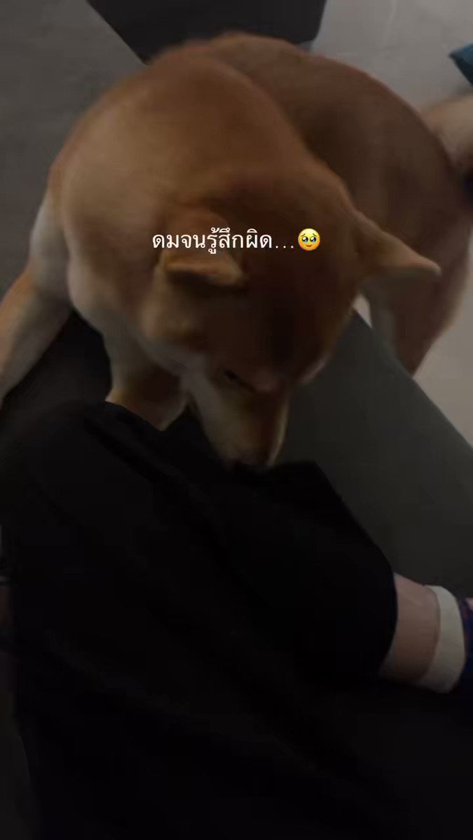 Theory of YinWar on Twitter: "IG yinyin_anw ดมจนรู้สึกผิด...🥹 #zuluecho5 @yinyin_anw #yinyin_anw ...