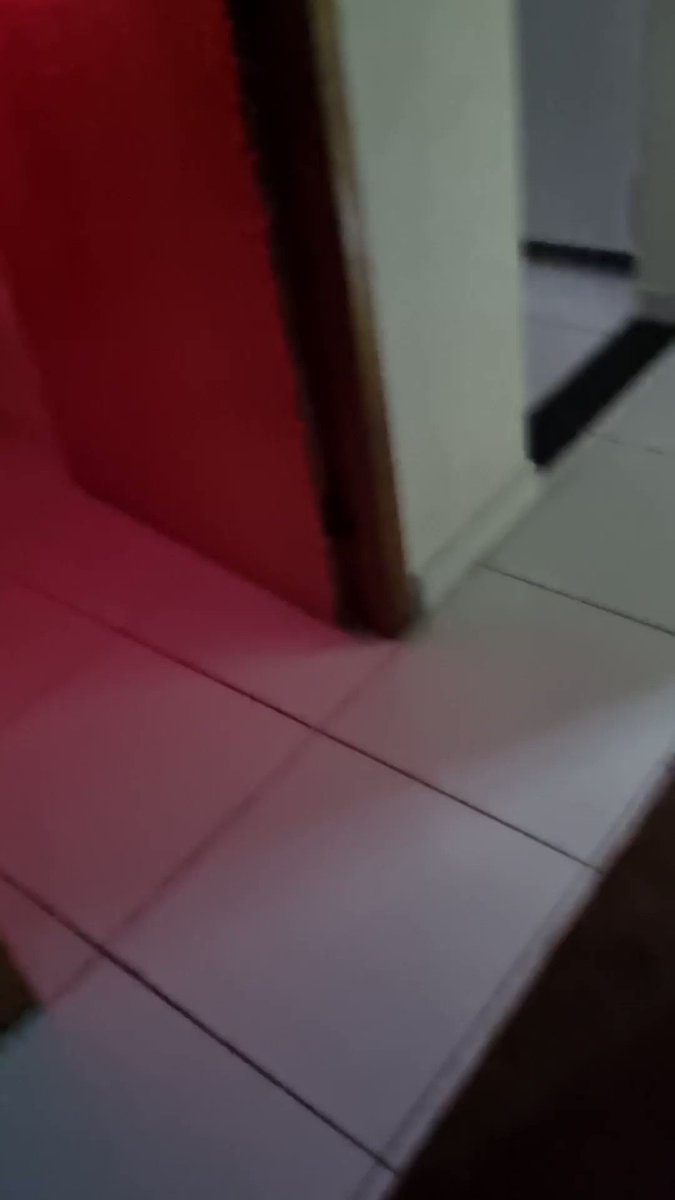 🎥 CORNO FILMANDO 🎥 🤟🏻29K on Twitter: "COMEDOR FAZ UMA VISITA PARA O CASAL E FESTINHA ROLOU NO ...