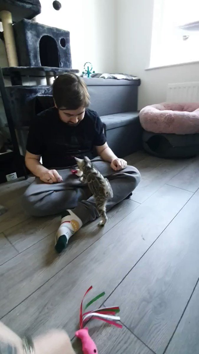 Zizaran 🇳🇴 on Twitter: Zizaran 🇳🇴 on Twitter: