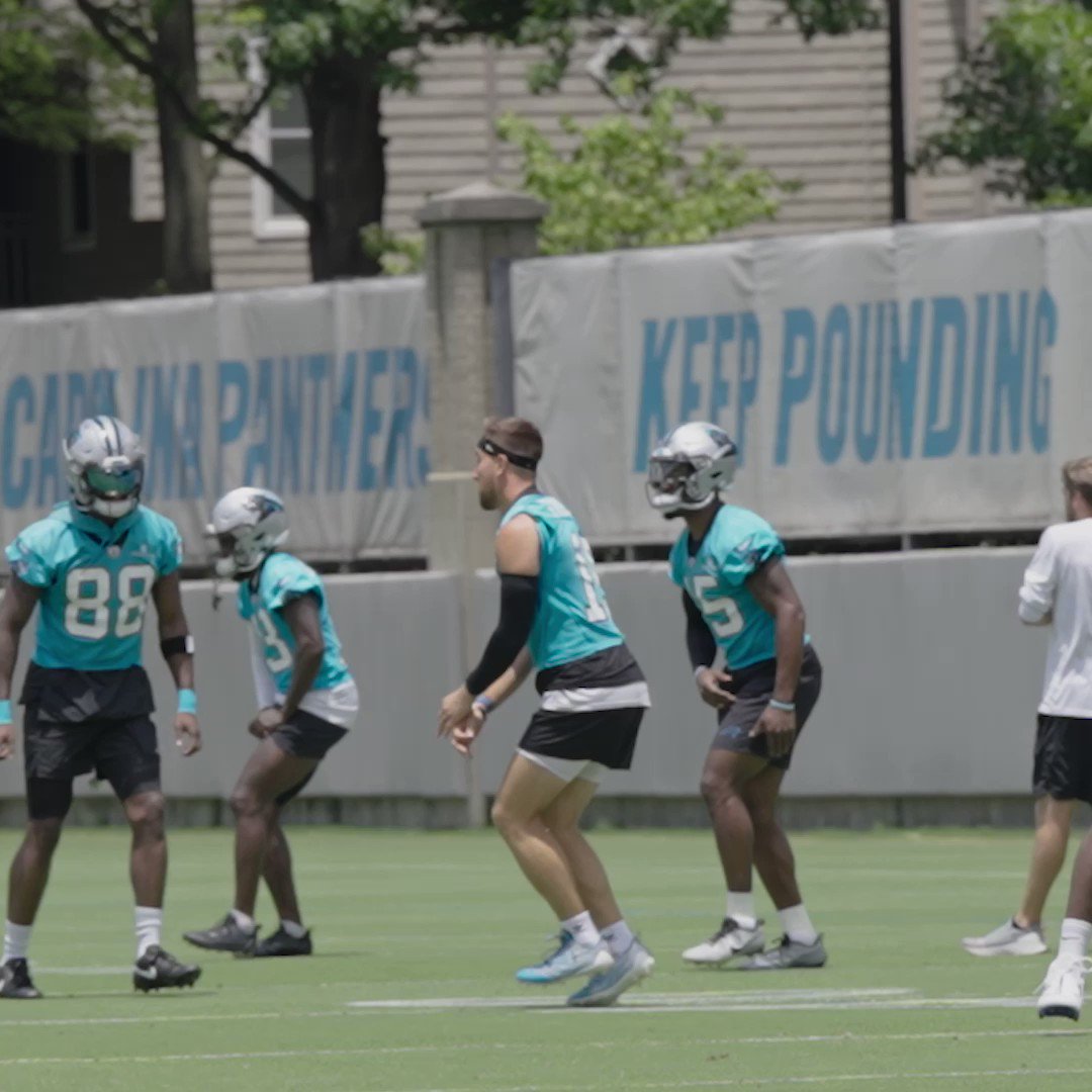 Carolina Panthers on Twitter: Carolina Panthers on Twitter: