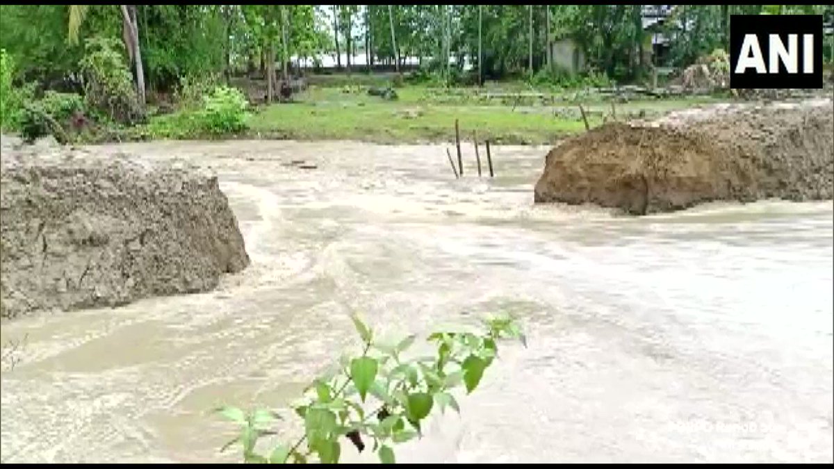 Ani On Twitter Watch Lakhimpur Flood Situation In Assam Remains