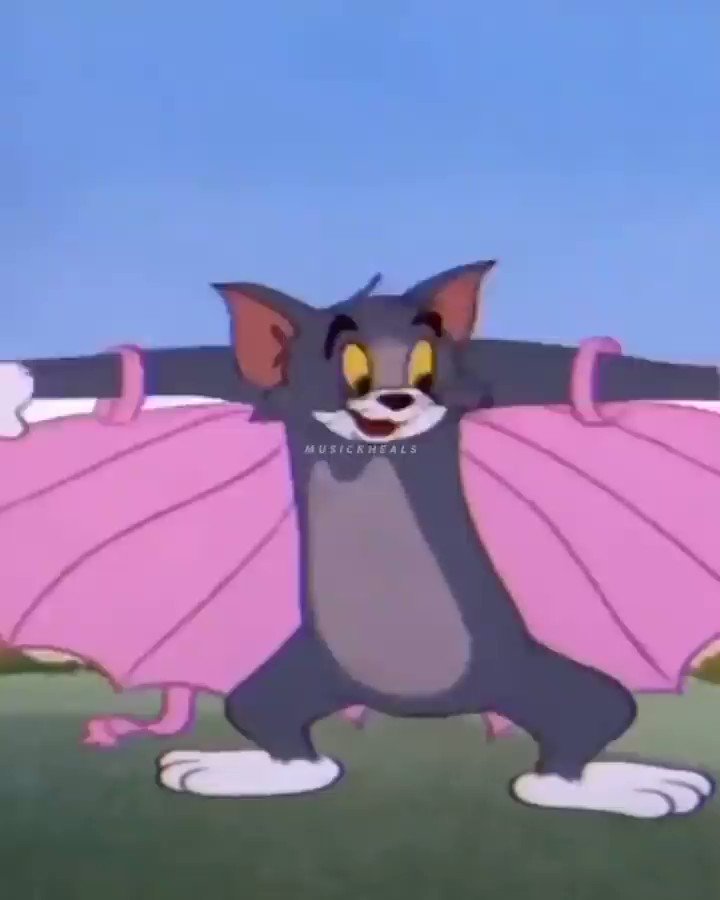 Tom And Jerry Evolution In Tom Jerry Cartoon Tom Jerry Tom My Xxx Hot Girl