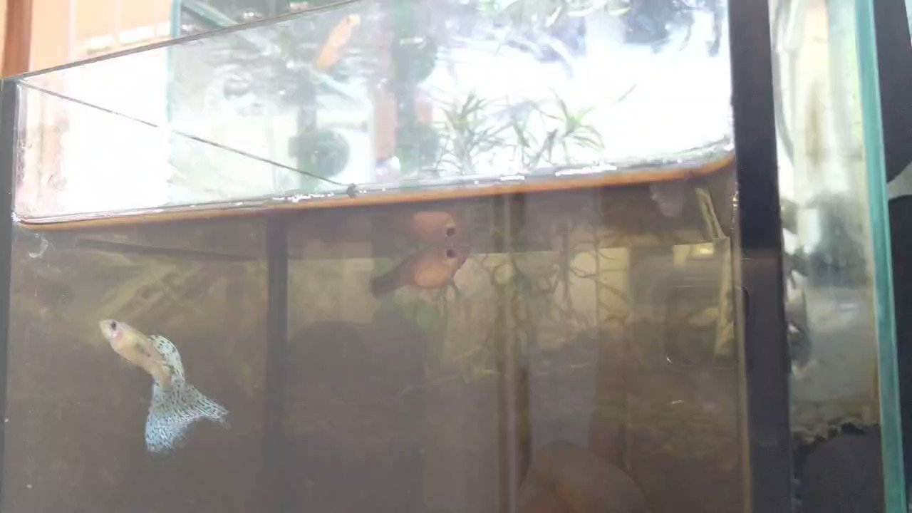 Omusubi on Twitter: "before→after https://t.co/zzAv6cNokK" / Twitter