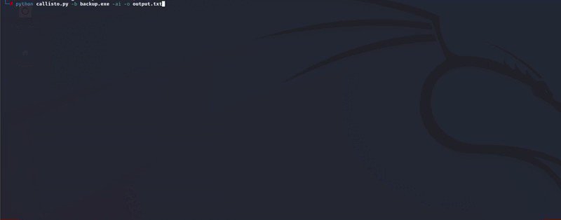 Hackgit On Twitter Callisto An Intelligent Automated Binary Vulnerability Analysis Tool
