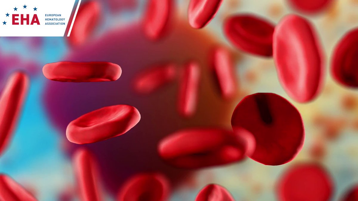 European Hematology Association on Twitter: European Hematology Association on Twitter: