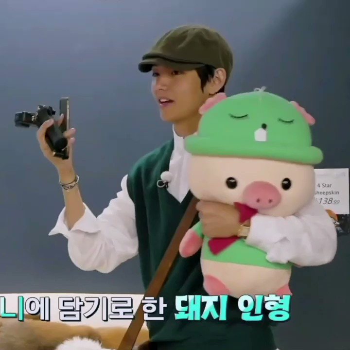 ً on Twitter: "taehyung with his big pig plushie from nz, he is so adorable 🥺 https://t.co ...