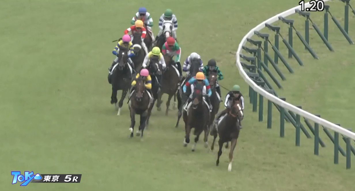 Graham Pavey on Twitter: "Jockey Kosei Miura finally racks up his 1000th JRA win 2019 Japan Cup ...