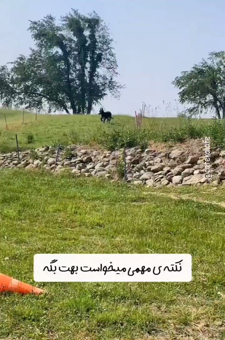 امیرآریان♕ طنزنوشت 𓃬☼ On Twitter وقتی بسیجیه میفهمه اونطرف خیابون
