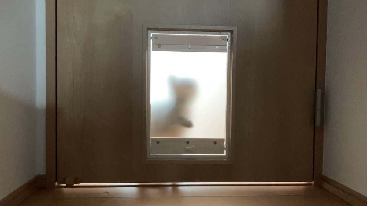 うちのねこまとめ '23 - posfie