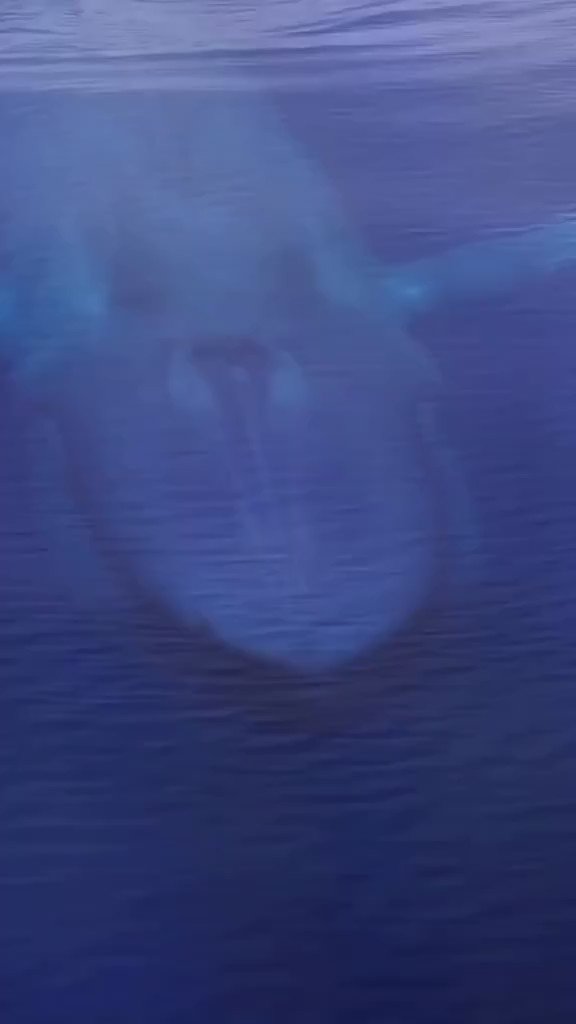 Wu Tang is for the Children on Twitter: "It’s mind boggling how massive ...