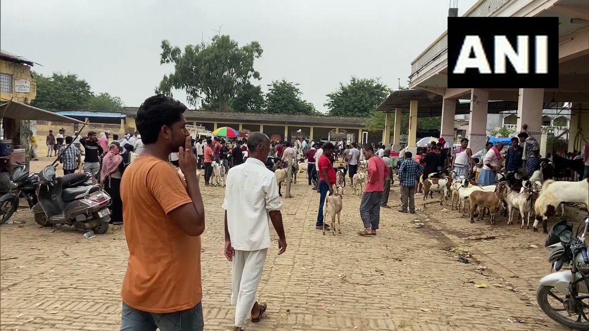 ANI UP/Uttarakhand on Twitter: "#WATCH | Uttar Pradesh | Ahead of Eid-ul-Adha or Bakrid, the ...