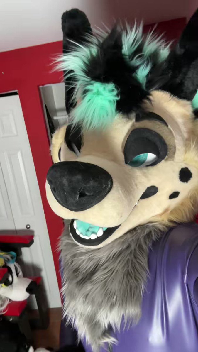 Derecho Hyena on Twitter: "It’s mischief Monday and you have nothing to wear? 🤔 We can fix that ...