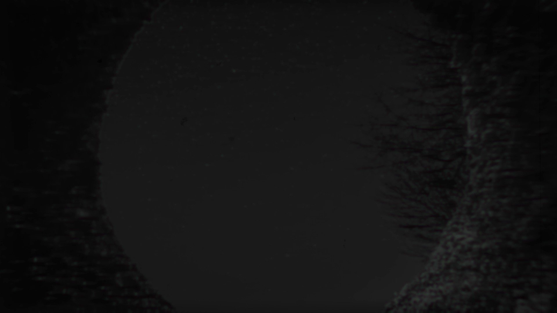 QTCinderella on Twitter: "Going to Wonderland @TinaKitten @FoolishGamers @ItzMasayoshi ...