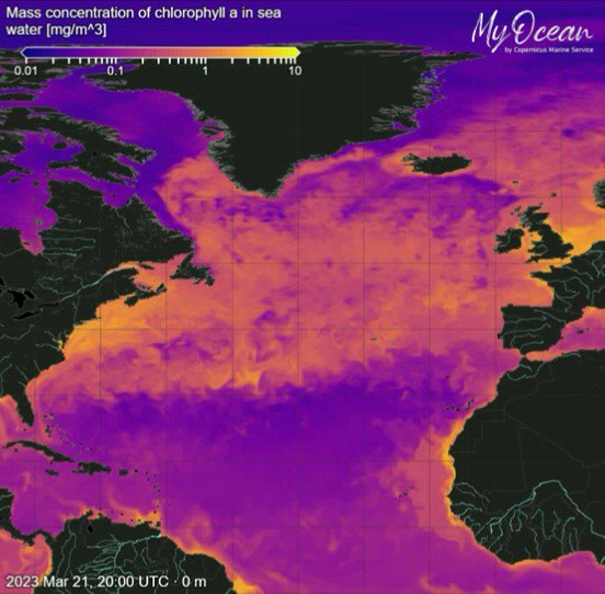 Copernicus Marine on Twitter: Copernicus Marine on Twitter: