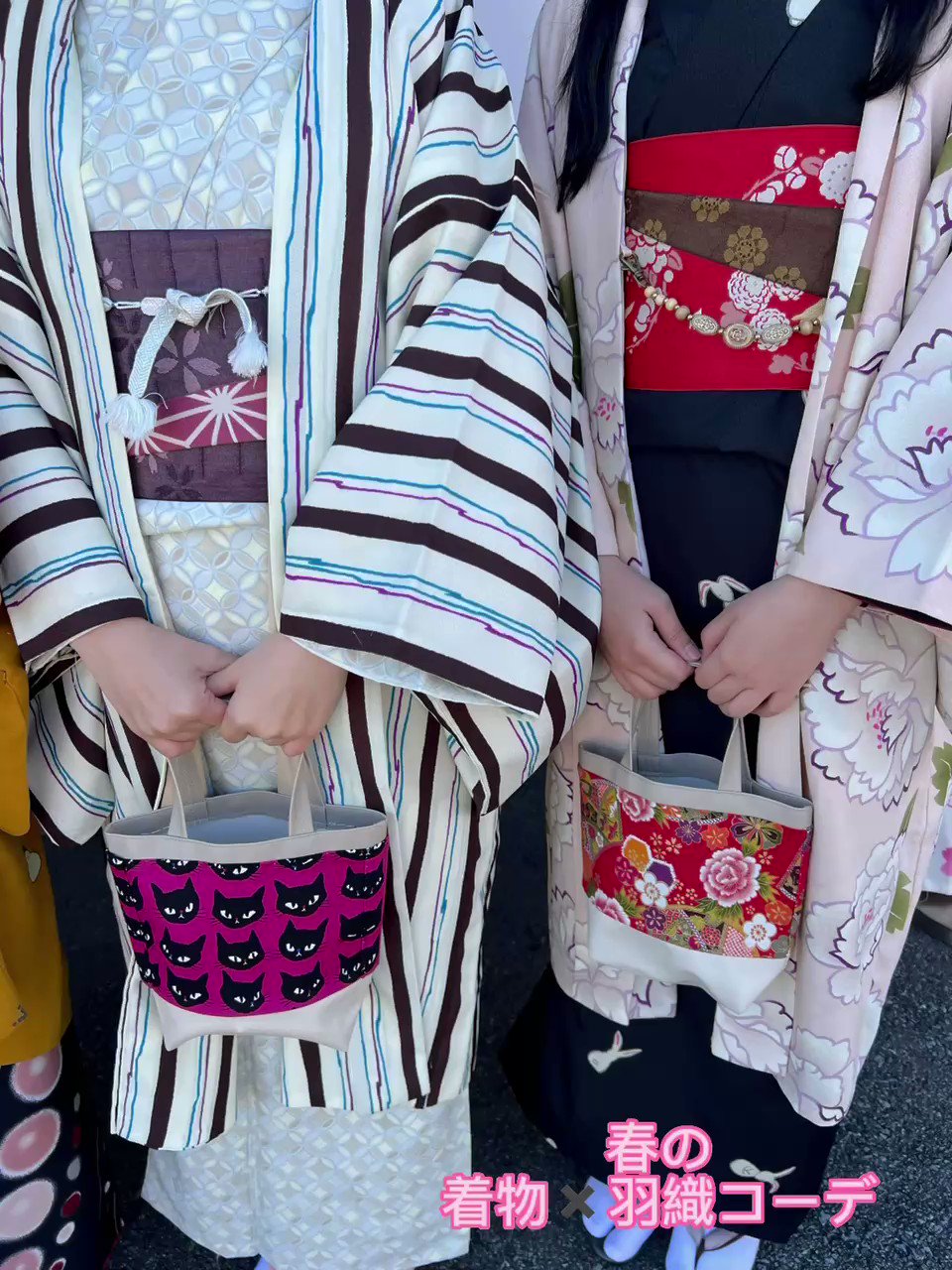 COCON NIKKO on Twitter: "春の着物 ️羽織コーデ 馴染むカラーやコントラストを楽しんで😊 #日光着物 #coconnikko #着物レンタル https://t.co ...
