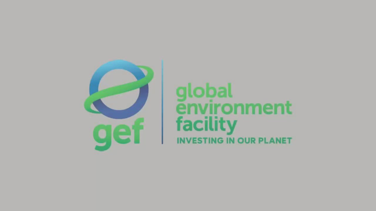 Global Environment Facility (GEF) on Twitter: "“The young people, we need education, we need ...