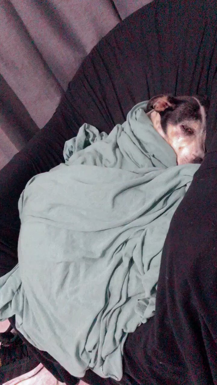 Ninna Soarez On Twitter Hoje Estou Só A Freya🥹🥰 9qabvrhwrs Twitter