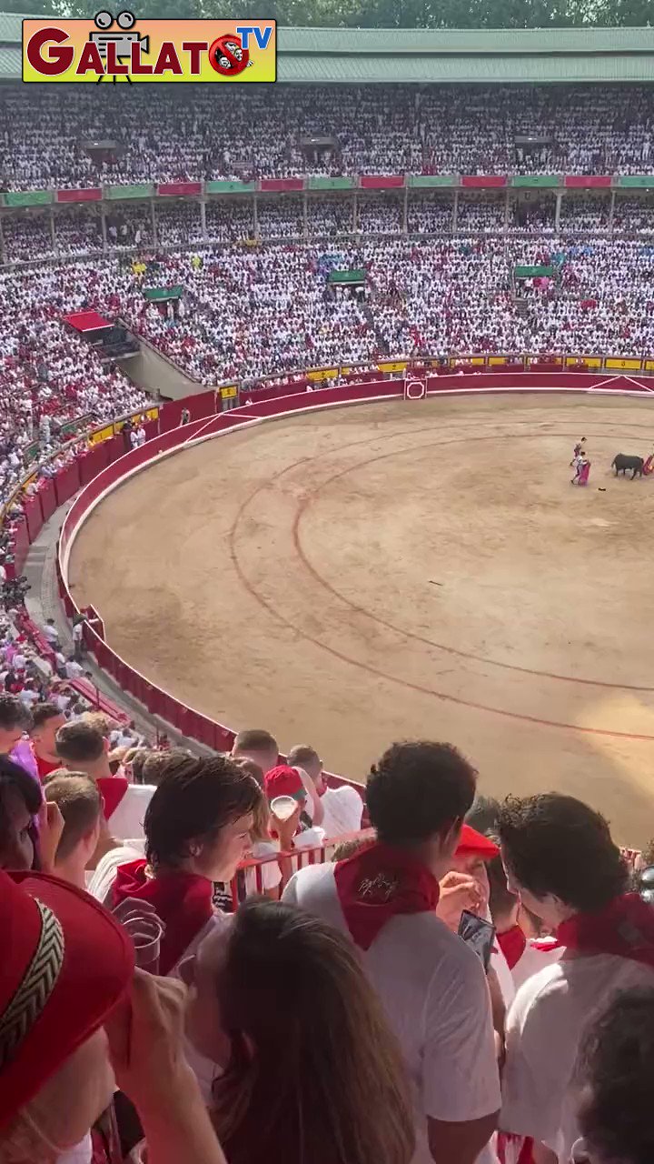 Girauters Es Gallatotv 🇪🇸 On Twitter Se Postula Como Canción Del