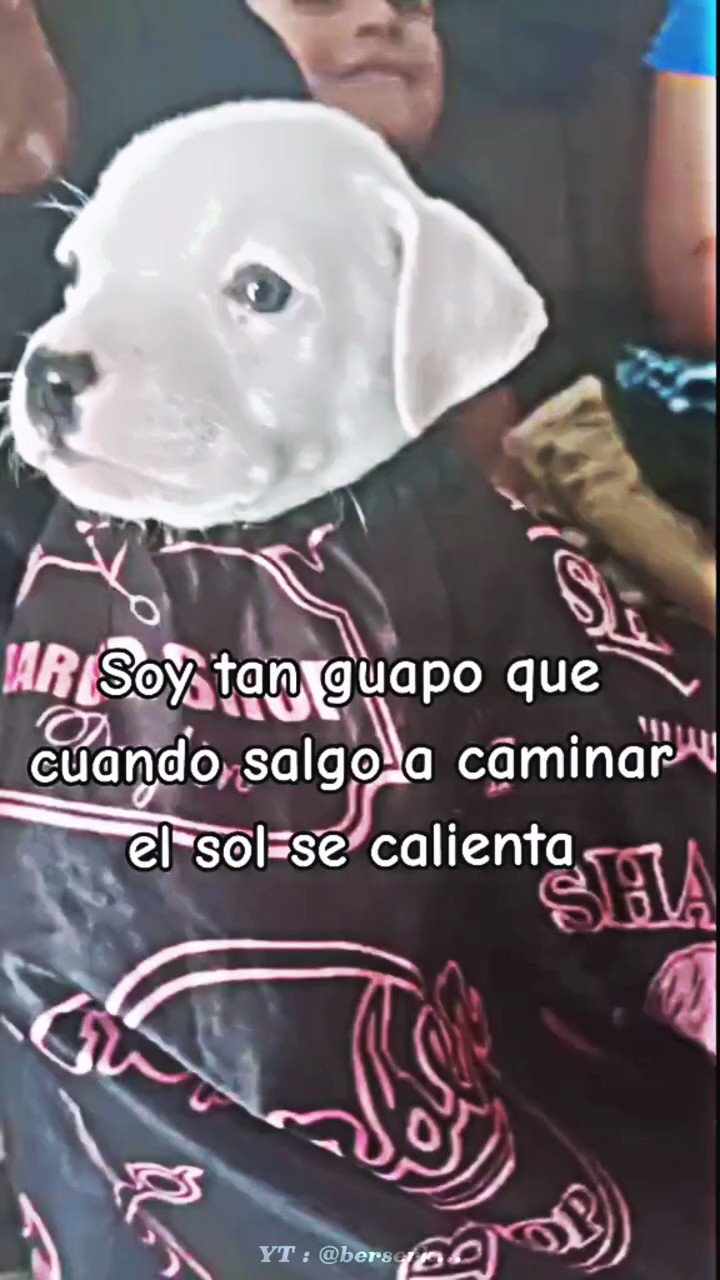 MattCarnizador⚡️★ on Twitter: MattCarnizador⚡️★ on Twitter: