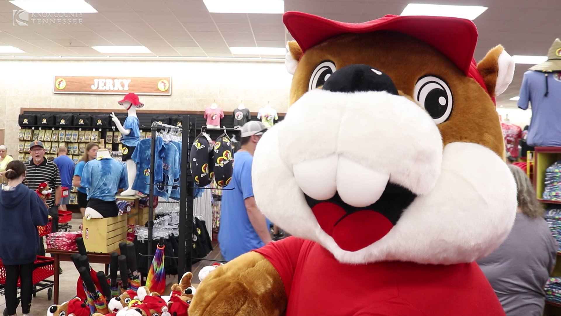 Knox Co. Government on Twitter: "#Tennessee is home to a lot of natural resources and wildlife ...