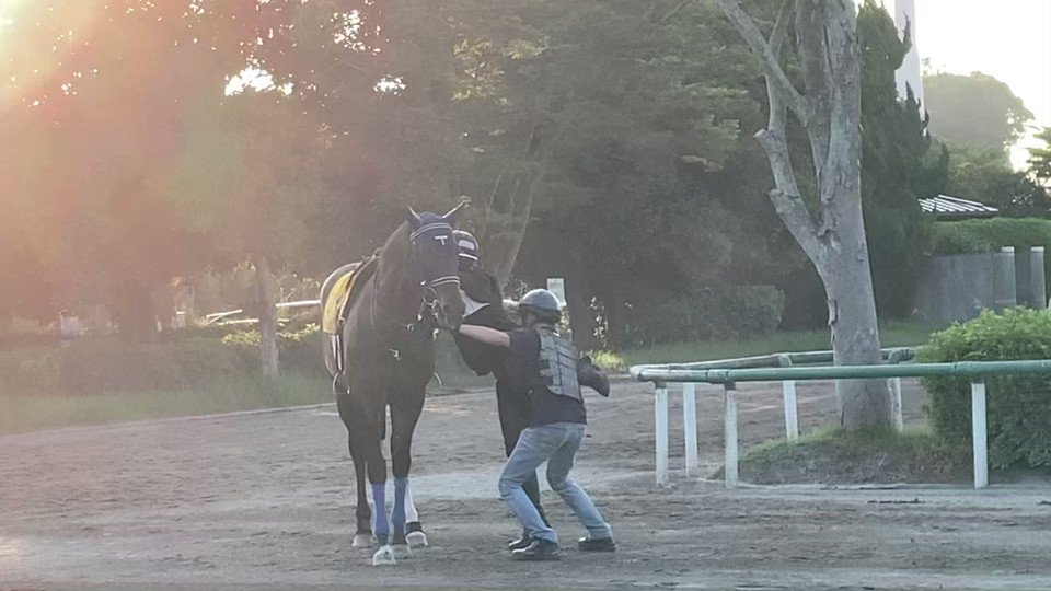 和田稔夫 Toshio Wada 🏇 週刊gallop・サンスポ・夕刊フジ On Twitter みんな大好き、アサマのお時間🐴 今朝の