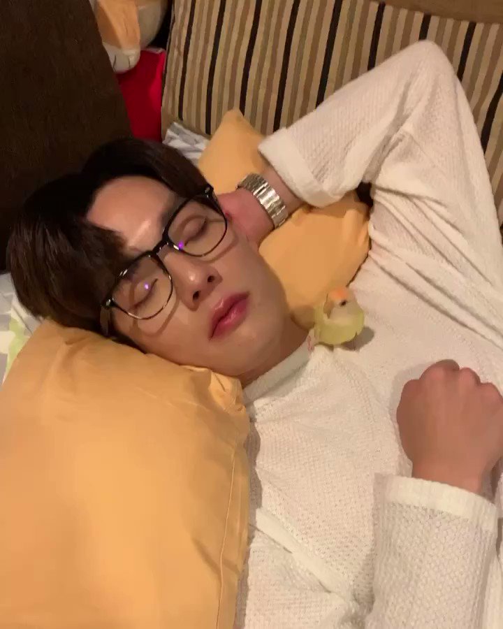 𝐁𝐞𝐧 𝐒𝐮𝐛𝐞𝐧𝐣𝐚 2324. ︎ on Twitter: "น่ารักกกอะ เยลโล่อยากเล่นด้วย แต่คุณพ่อง่วง 😂💙 @CTR2DAB # ...