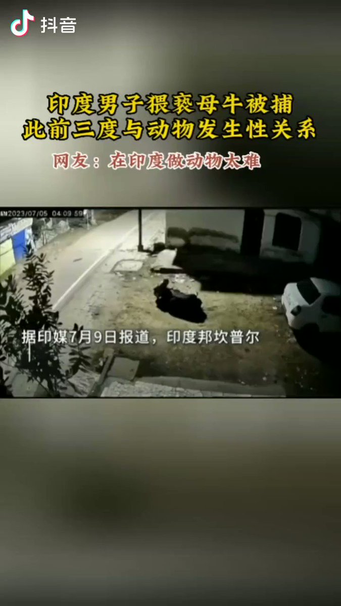 迷人的小红🇨🇳 On Twitter 印度的这位壮士,当街把母牛给嘿咻了。 而且,嘿咻完,母牛居然摇起了尾巴😅😅😅 Funny News In India