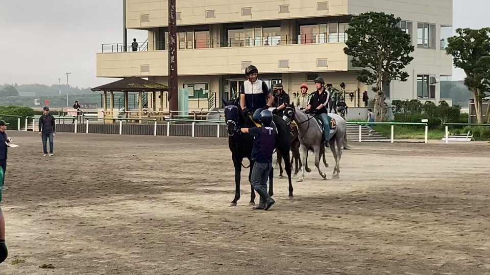 和田稔夫 Toshio Wada 🏇 週刊gallop･サンスポ･夕刊フジ On Twitter おはファンロン🐴 このまま無事に順調に
