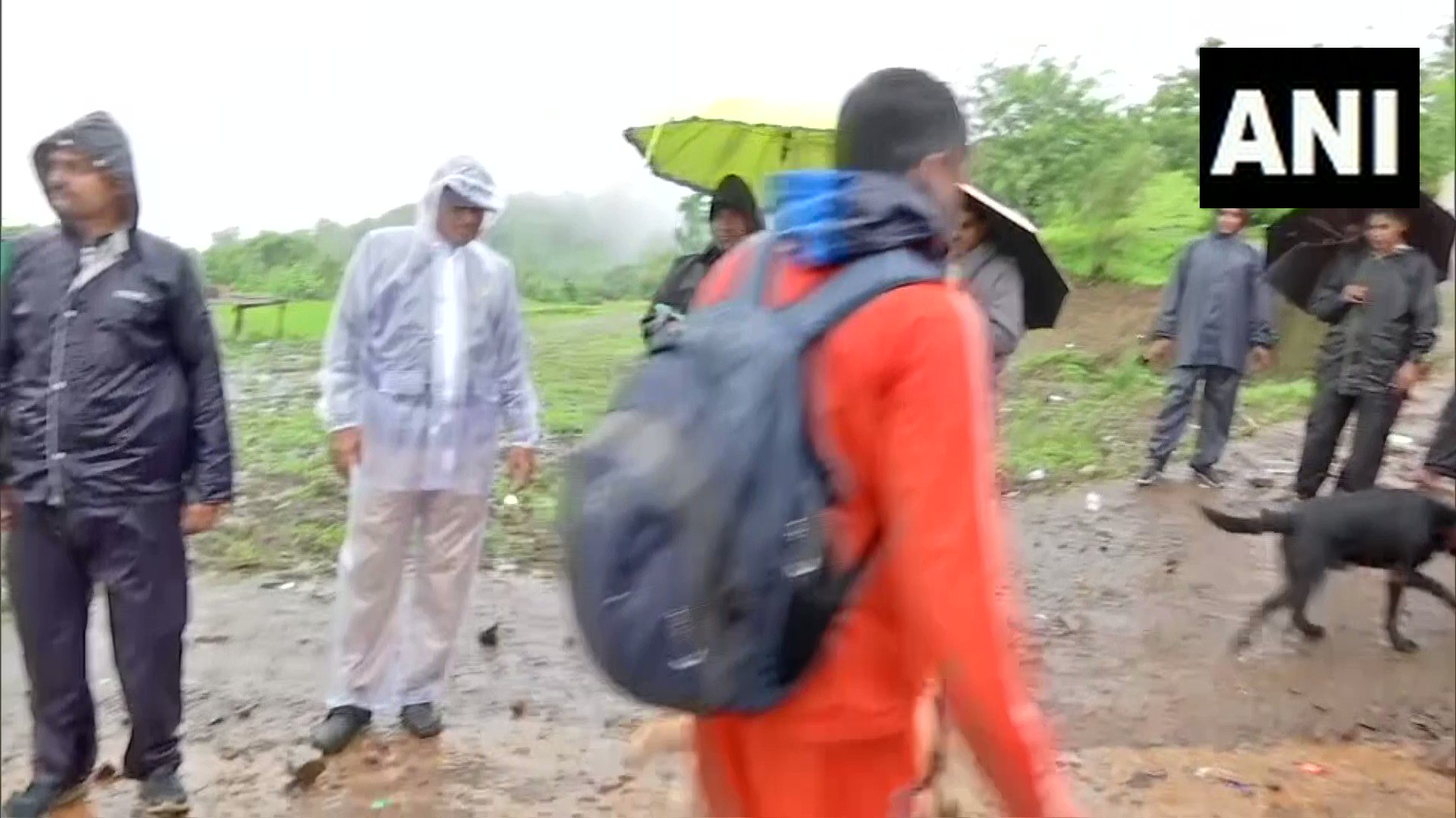 ANI on Twitter: "#WATCH | Raigad, Maharashtra: Canine squad carries out search operation in ...