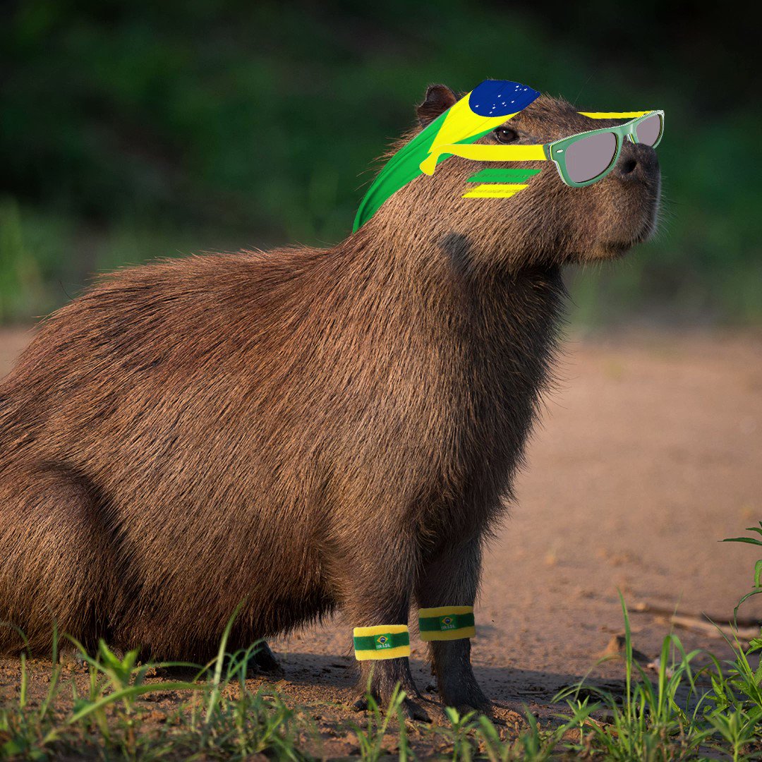 Claro Brasil on Twitter: "A capivara da sorte mandando energia pro Braza! 🇧🇷🍀 #FIFAWWC # ...