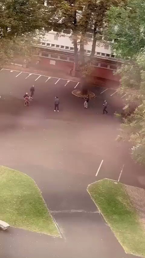 KMN-深淵猿人 - Babak Taghvaee - The Crisis Watch on X - Plurk