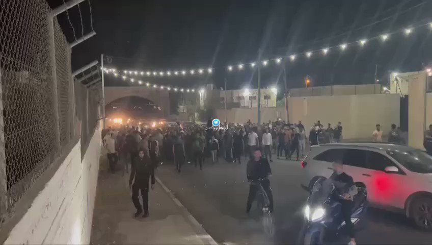 شبكة راية الإعلامية طبق عربي يتربع على قائمة أفضل الأطباق النباتية في