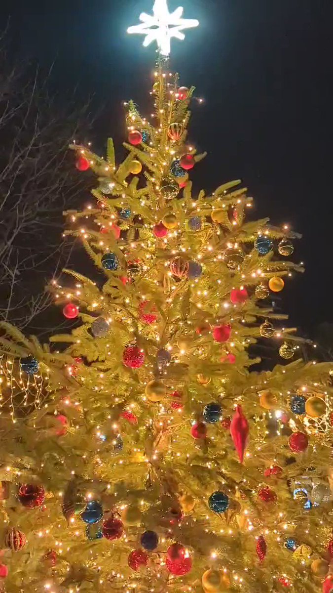 KinKi Kids Premium Christmas Tree 写真集 - posfie