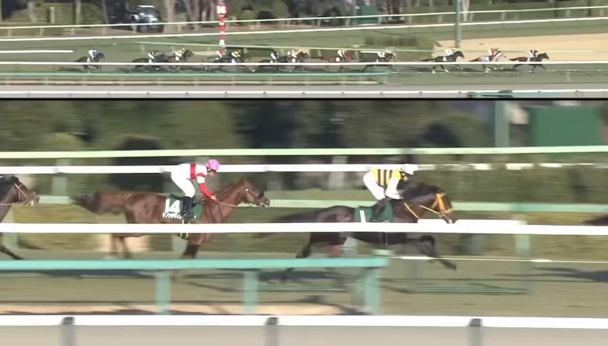 ダノンデサイル京成杯を制す 横山典弘騎手はJRA重賞最年長勝利記録を更新 なおレース中 - posfie