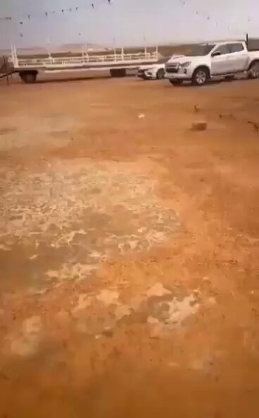 صحيفة المدينةفيديو لحظات مرعبة عاشها مواطنون في الرياض بسبب العواصف الشديدة صحيفةالمدينة
