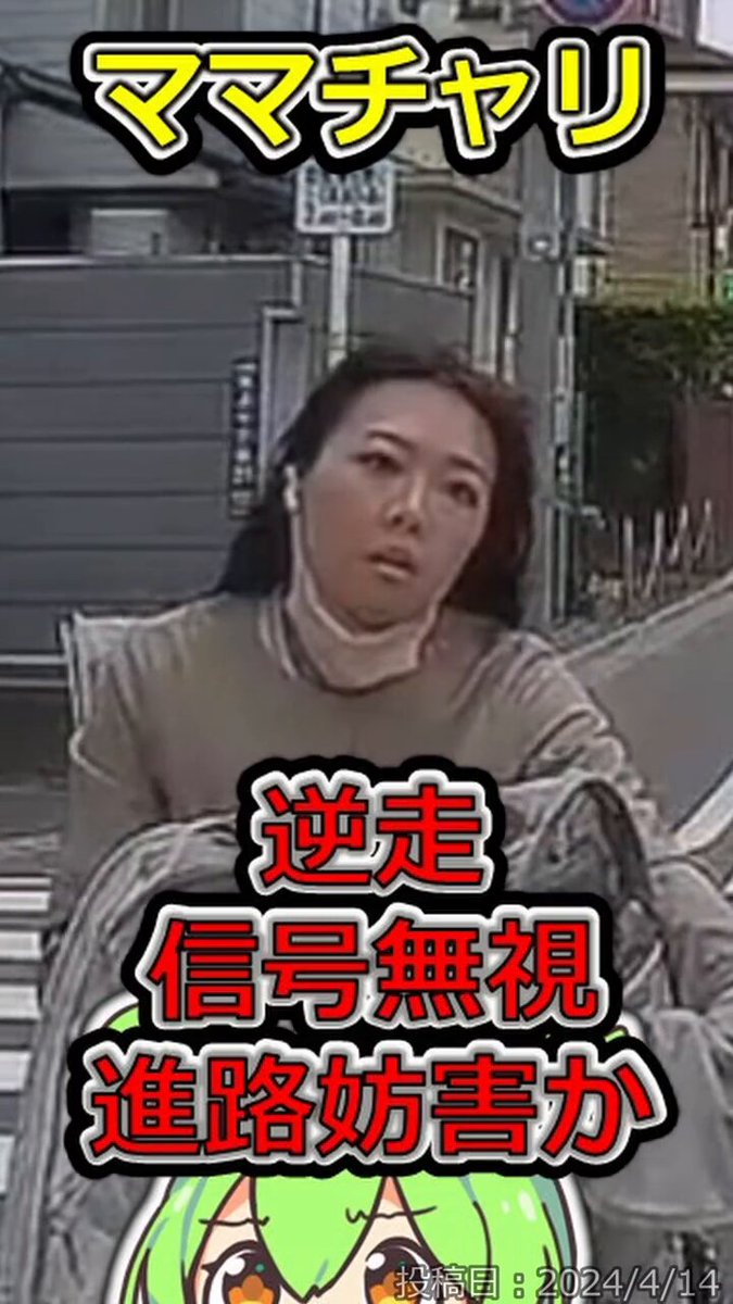 逆走ママチャリ女性がブチ切れ「邪魔よ!写真撮るわよ!」 わくわくニュースフラッシュ