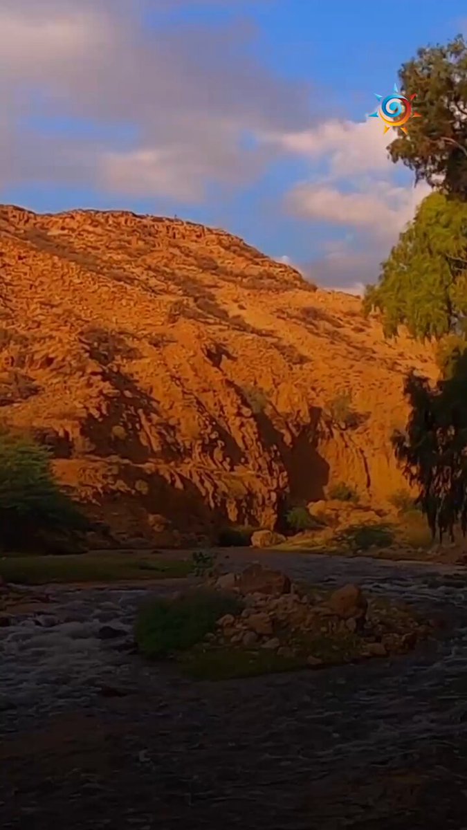 صحيفة الدستور الأردنية/الحكومة: توقيف شبان خططوا للمرابطة داخل مسجد أبو ...